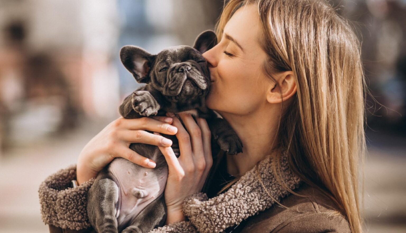 The rise of the Pet Wellness: when animals health becomes an industry ...